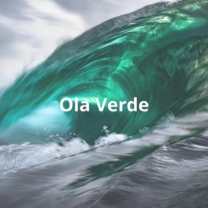 ¿Qué es la ola verde? Blog el movimiento ecologista en 2025