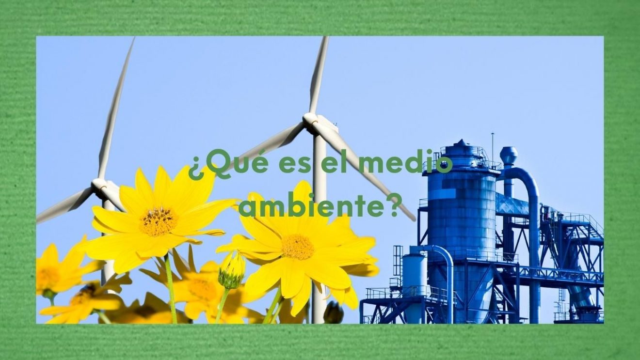 Descubre qué es el MEDIO AMBIENTE, en realidad
