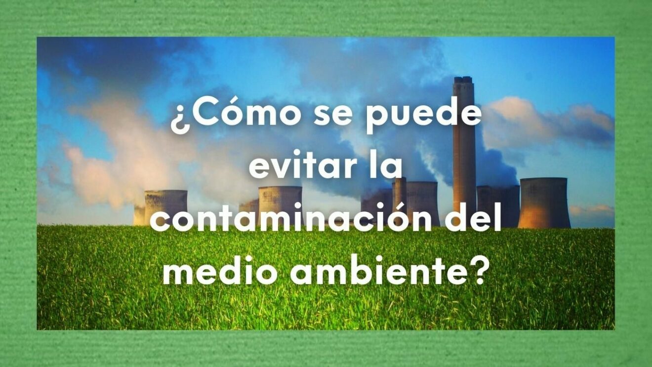 Consecuencias de la contaminación: ¿Cuáles te afectan más?