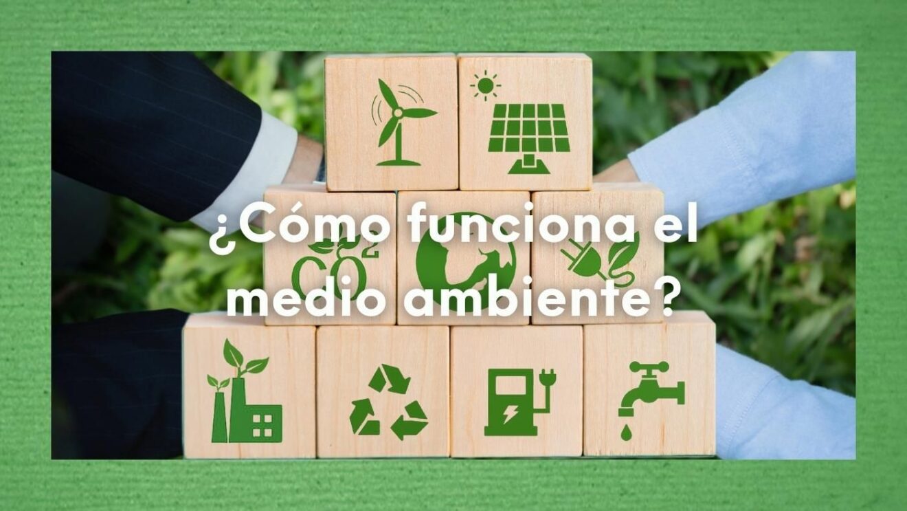 TIPOS de AMBIENTES: Guia completa y FÁCIL